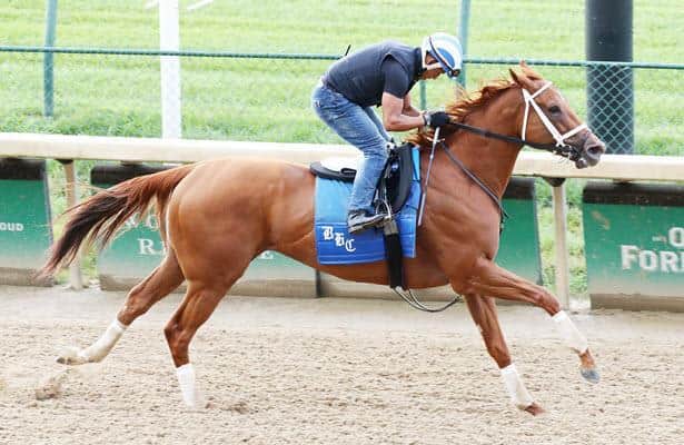 Monomoy Girl's return to tab highlights Sunday's graded stakes works