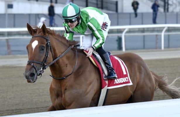 Mr. Buff has 'nowhere for him to dance' after Saturday breeze