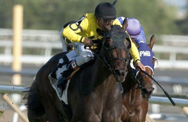 Mr Havercamp notches first added-money win in Vice Regent