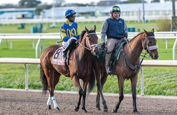 Wednesday works: Mr. Wireless is back on the tab at age 6