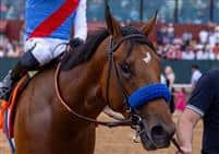 Bob Baffert - Trainer