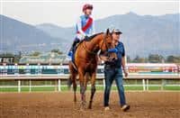 Bob Baffert - Trainer