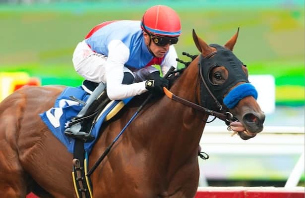 Muth is headed to Calif. Crown, no plan yet for Formidable Man