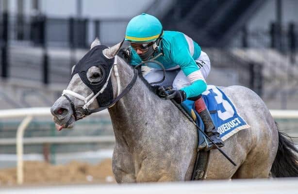 Cox will send My World, with 3-race win streak, to Saudi Derby