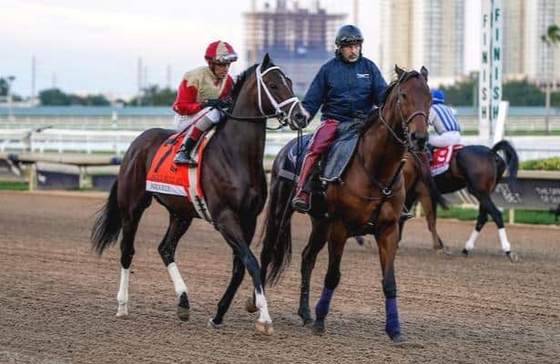 Division rankings: 3-year-olds take spotlight in Ky. Derby preps