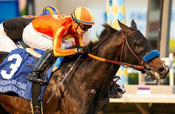 Sunday works: Nevada Beach leads graded winners on tab