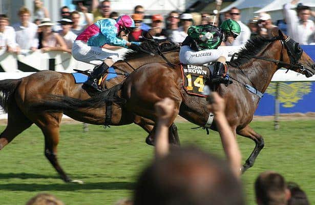 Sky Racing World to distribute New Zealand horse racing to U.S.