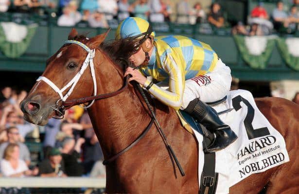 Noble Bird cruises to Track Record win in Fayette