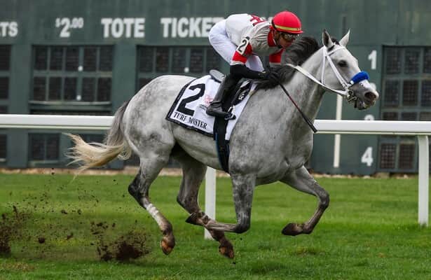 Turf Monster winner Nobody Listens dies in trailer accident