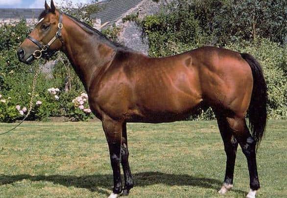 A Week in November 1963: 50 Years Ago