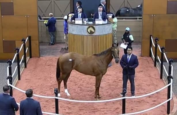 Nyquist colt goes for $1 million to top Fasig-Tipton sale