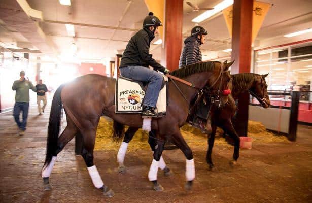 Nyquist Schools/Preakness 2016 Update (VIDEOS)