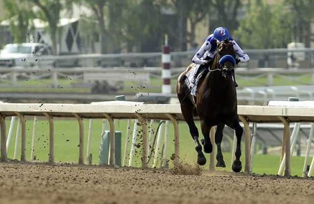 Del Mar: Nysos steps into spotlight for San Diego Handicap