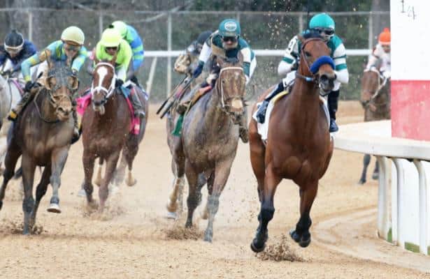 Cross Country Pick 5 features Withers Stakes, American Beauty