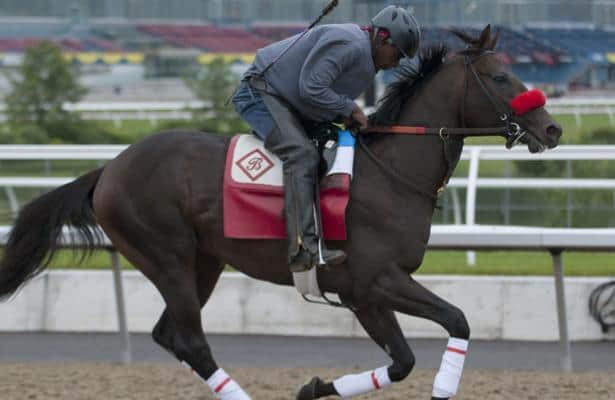 Canadian Triple Crown hopeful leads Prince of Wales field