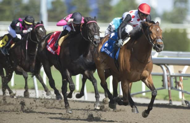 Our Flash Drive (3-5) delivers in Woodbine's Whimsical Stakes