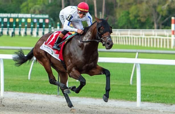 Kentucky Derby 2025: Owen Almighty returns to the field