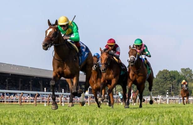 Ozara is 3-for-3 at Saratoga after winning Ballston Spa