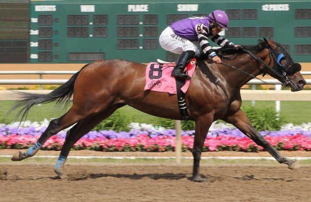 Peyton’s Pass Sets New Stakes Record in Swifty Sired