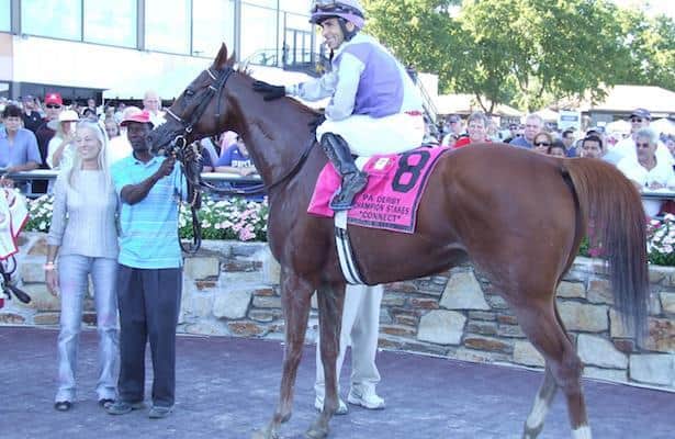 Another View of 2017 Pennsylvania Derby Day
