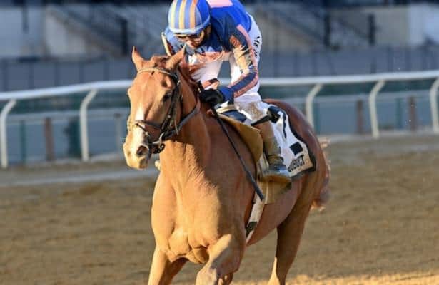Kentucky Derby pedigree profile: Paladin