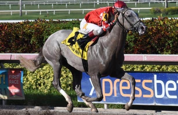 Phantom Ro heads Affirmed Division of Florida Sire Stakes