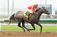 Michael Pegram - Owner