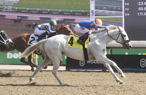 Woodbine: Queen Macha is among 11 going Saturday in Seaway