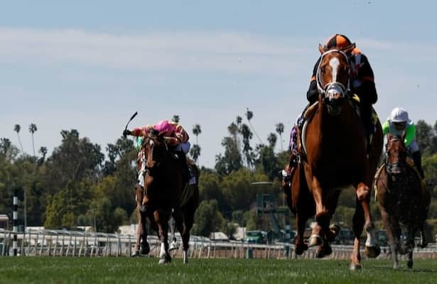 Businessman Peter Stern is named to California racing board
