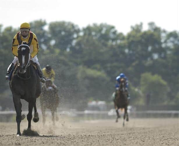 Rachel Alexandra to Haskell