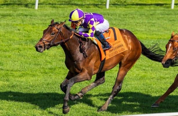 Top 4 from Transylvania may clash in American Turf