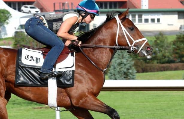 Vegas Kentucky Derby Odds