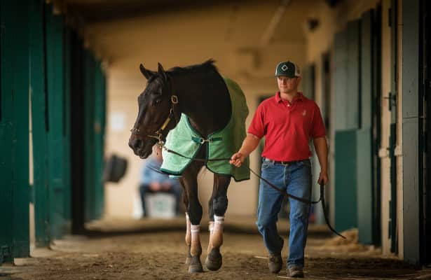 Hall of Famer Bill Mott's son, Riley, registers first win as a trainer