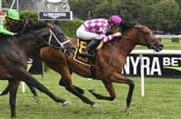 Michael Dubb - Owner