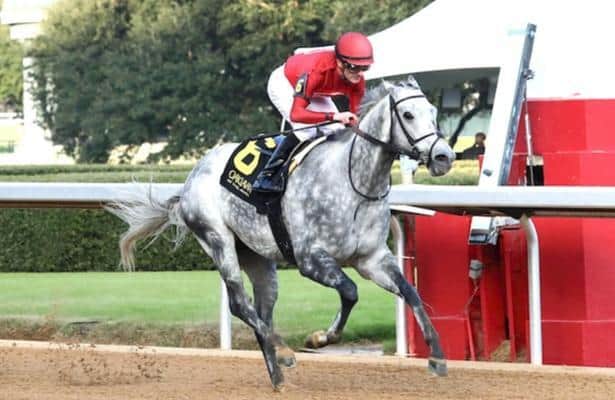 Tuesday works: Roll On Big Joe leads graded winners on tab