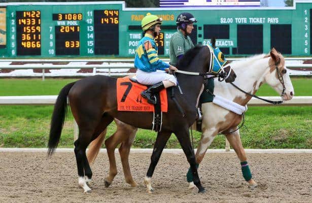 Maker Sends Out Roman Approval and Johns Kitten in Louisville