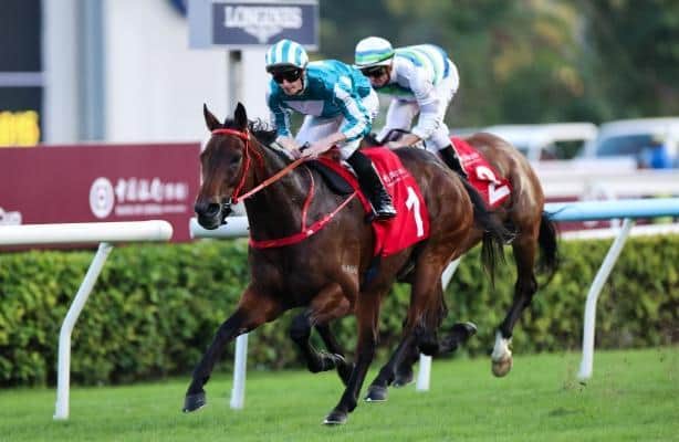 Romantic Warrior returns a winner at Sha Tin