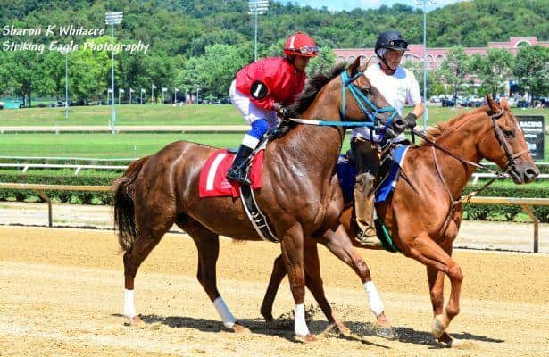 The long, successful career of Russell Road is almost complete