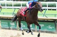 Ian Wilkes - Trainer