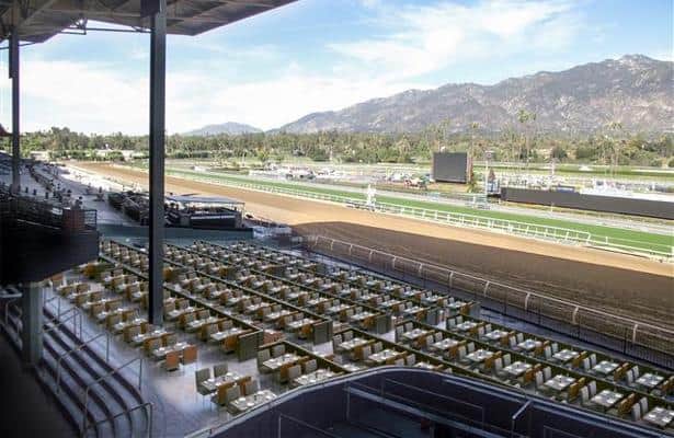 Stronach Group says 'the tracks are not for sale'