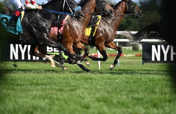 Prospect Watch: Follow these 33 blue-blooded newcomers