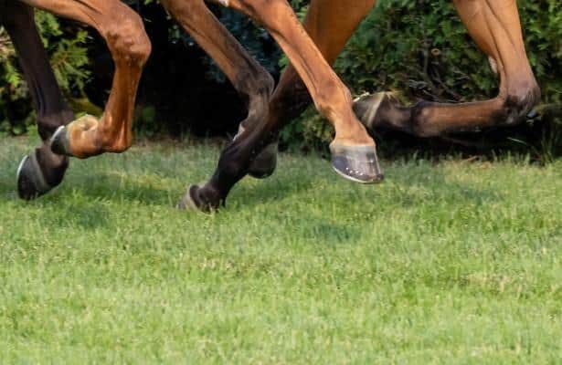 Eule_emma nide alexander was a delight to talk to, a treat