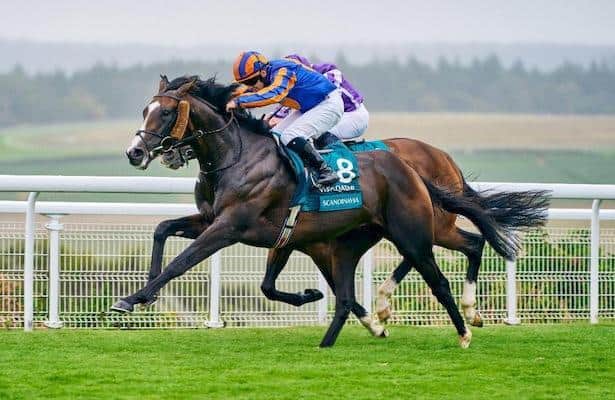 3-year-old Scandinavia wins Group 1 Goodwood Cup