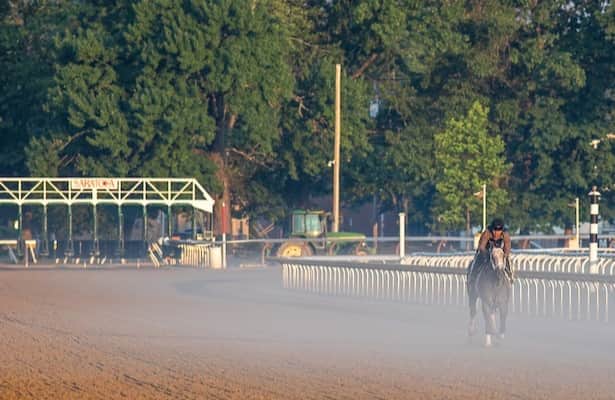 Saratoga will expand public access to Oklahoma training track