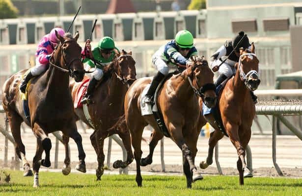 Sheza Smoke Show No Illusion in Senorita Upset