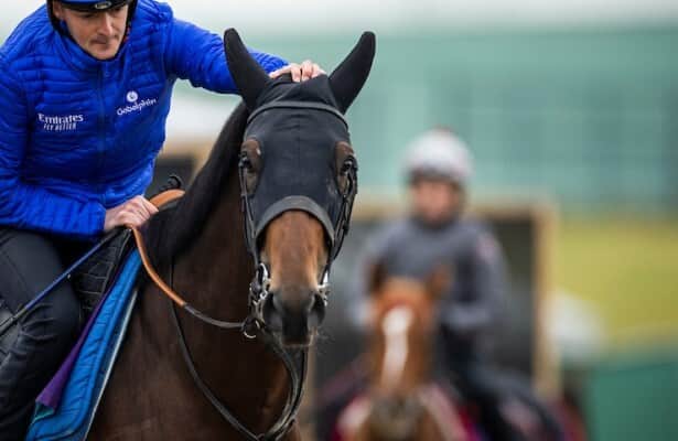 Saratoga 2024: Silver Knott streaks into Bowling Green