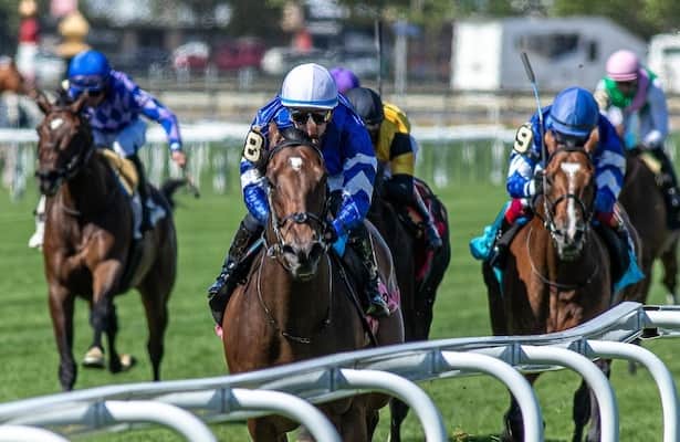 Speed figures: These are last week's fastest stakes winners