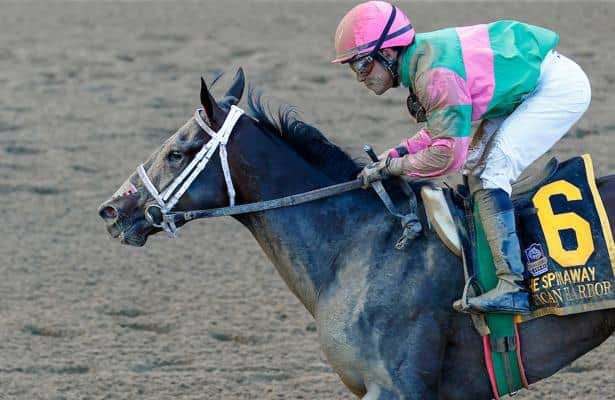 Sippican Harbor 'cool under fire,' on schedule for Breeders' Cup