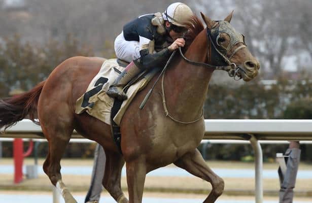 Sir Winston's Dubai World Cup dream alive with comeback win