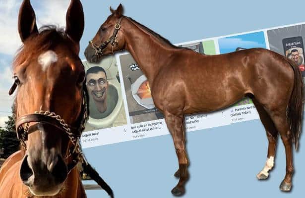 Social-media phenom Skibidi Rizz is entered at Hawthorne